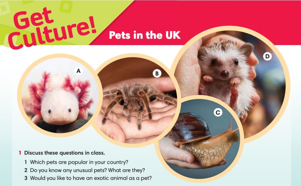 Go Getter 1, 2, 3, 4 PDF, Resources Download